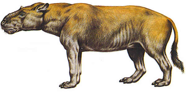 Los animales en la prehistoria: Animales prehistóricos con la letra A