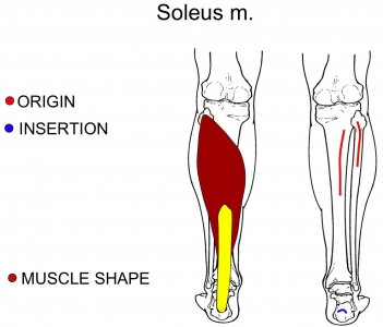 The Roots of My Health: one step forward, two steps back