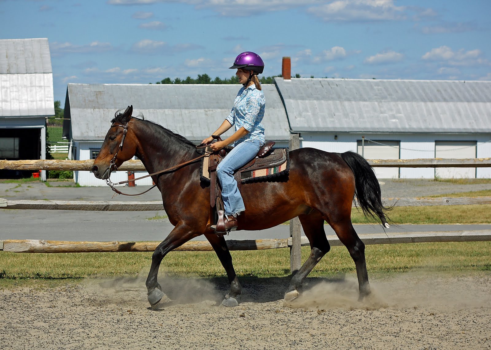 Me Riding a Horse / Nelson Notes