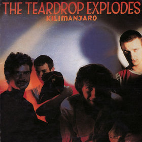 DISCOS PARA EL RECUERDO : THE TEARDROP EXPLODES