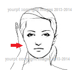 Your Physical Therapy: Temporomandibular Joint ( TMJ ) Disorder and ...