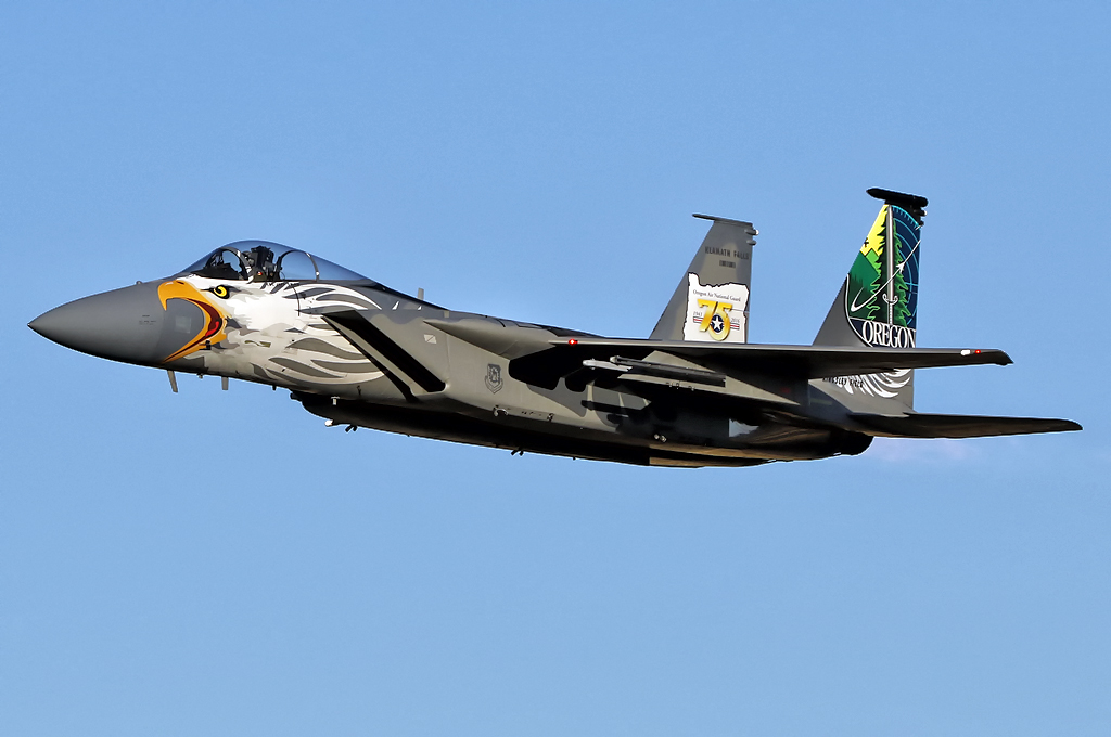Aero Pacific Flightlines: United States Air Force McDonnell Douglas F ...