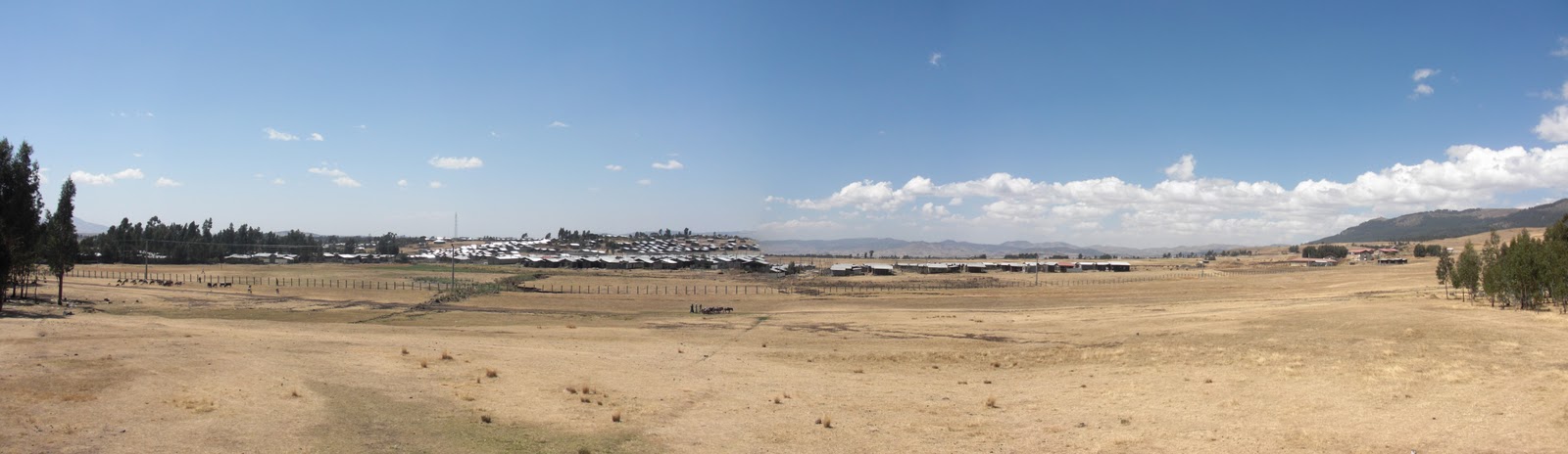 Our Journey to Sendafa, Ethiopia: Now for some cool pictures...