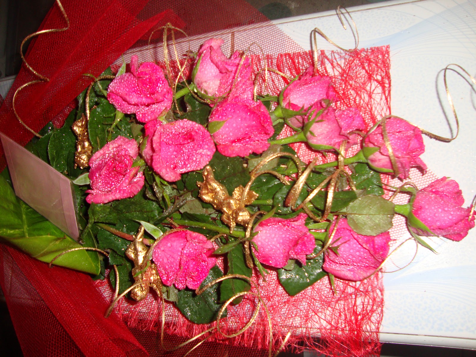 The Flowergirl Artist: A dozen of Fuchsia Pink Roses