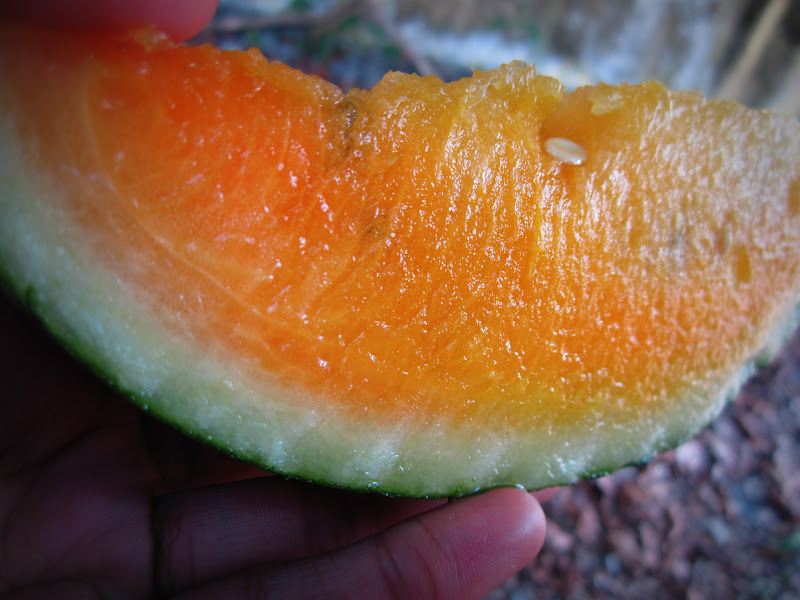 CooKiNG wITh LoVe...: Ketenangan dan kedamaian~*(^_^)*