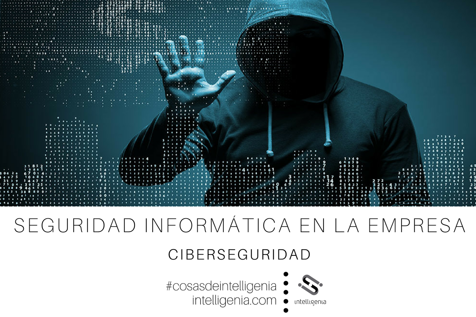 Intelligenia :: Guía sobre Seguridad Informática o Ciberseguridad