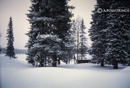 Paraísos del mundo: En la taiga del parque nacional ruso Paanajarvi