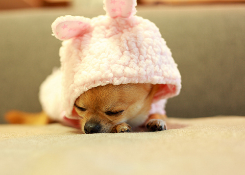 DNA Diferente: Fotos fofas!!!