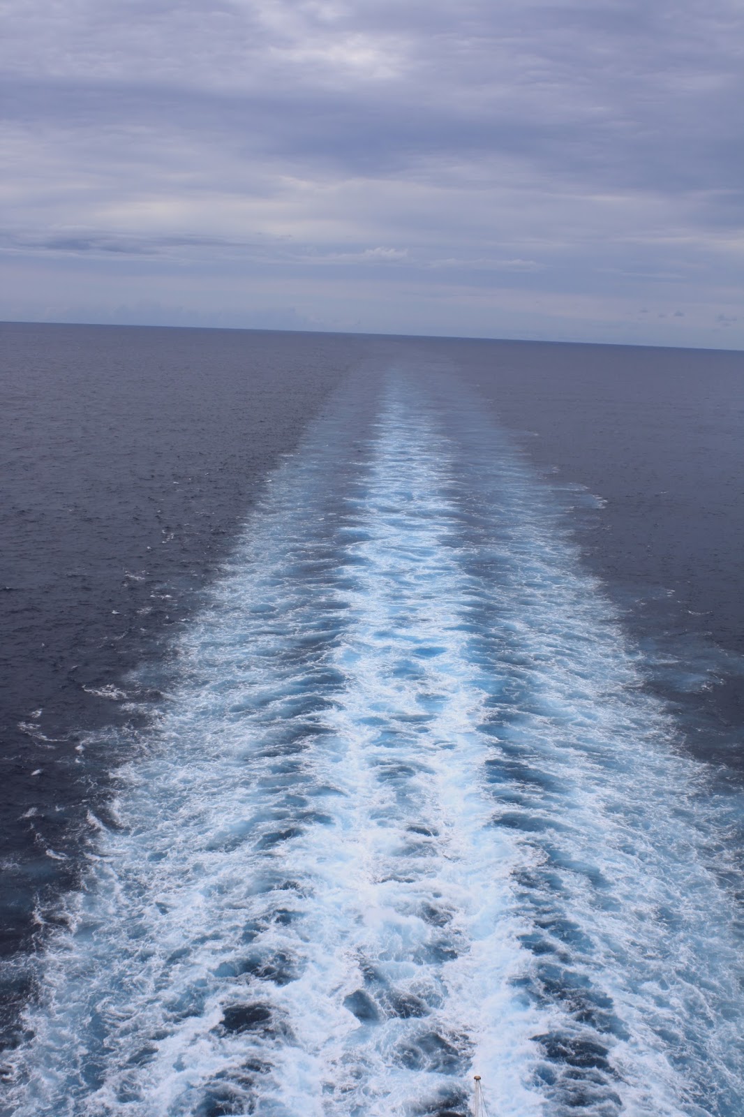 The little white cottage in the woods: To the sea and back