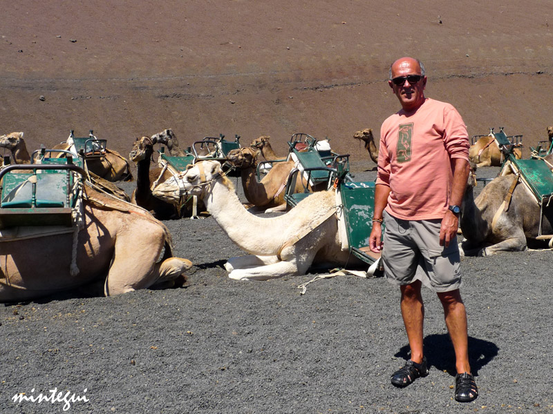 Mintegui - Argazkiak: Timanfaya. Las Montañas del Fuego. (Lanzarote)