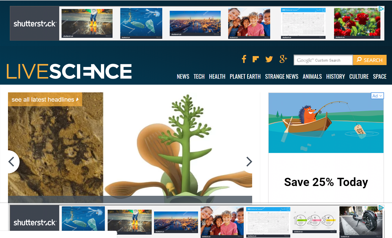 Livescience.com Sciences News Website