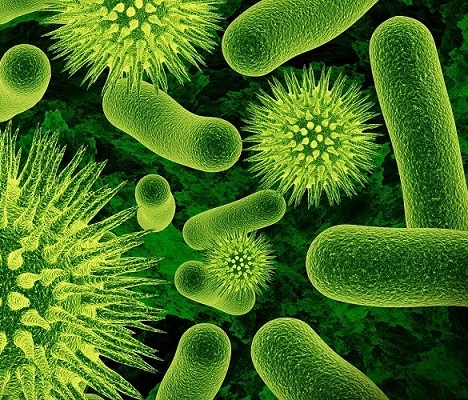 Probiootikumid - miks on olulised ja kuidas võiks valida?