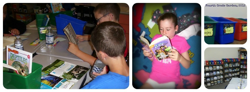 Elementary School Garden: Reading Workshop