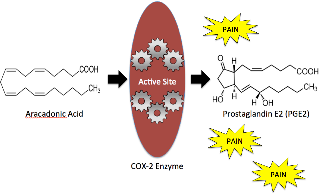 Five Degrees of Freedom: How Do Painkillers Work?