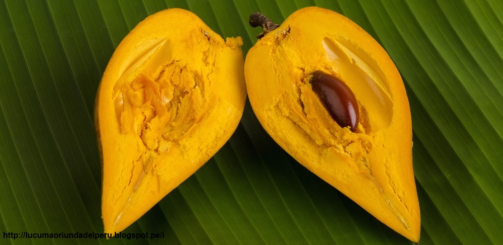 La lucuma fruta de los Incas - LUQUIMIX