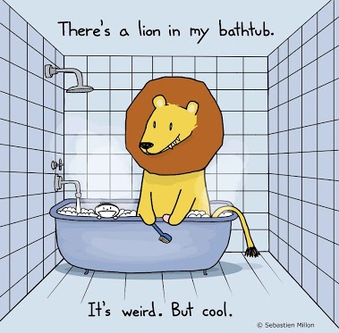 Funny and Crazy pictures, Images,Gifs, Jokes: Unlimited Funny and crazy ...