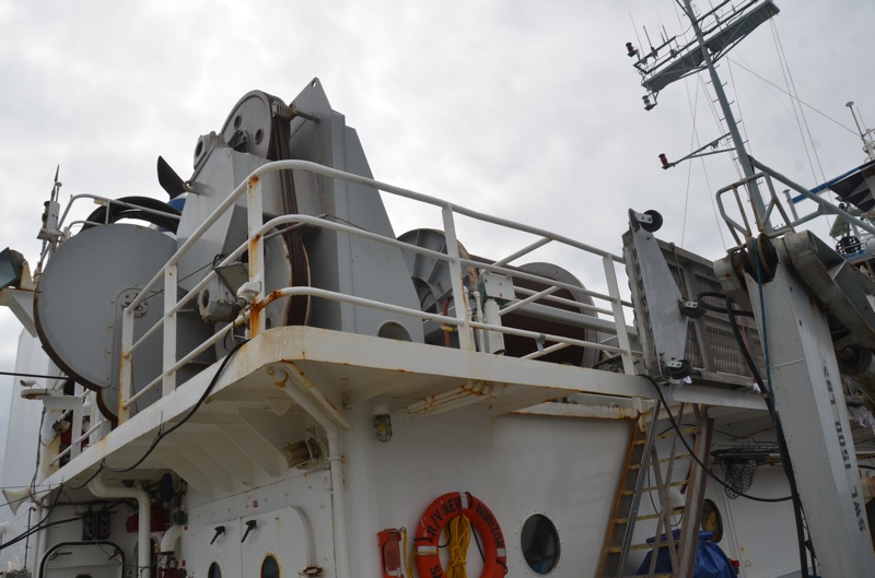 Charismatic Microfauna: Streaming the Wire