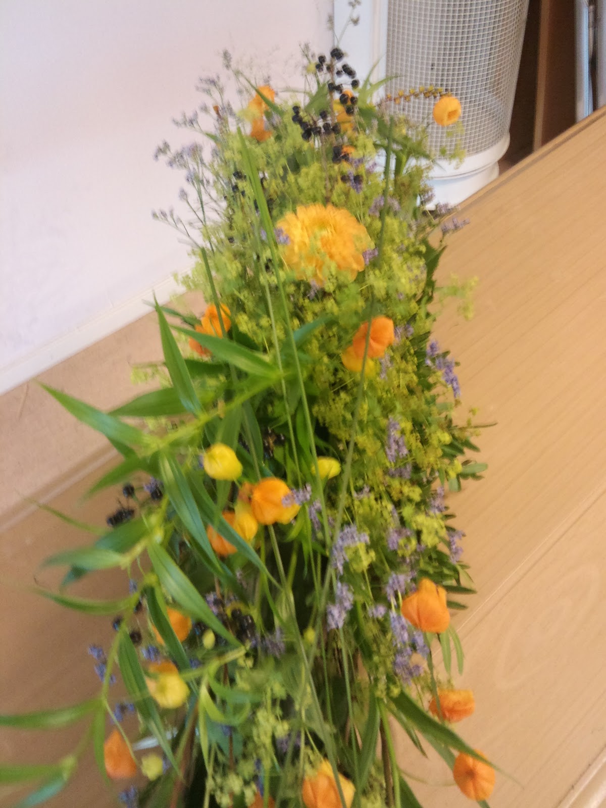 Klorofyll: Nu har jag tittat i arkiven på bilder från floristutbildarna ...