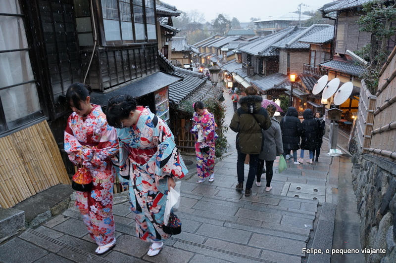 Quioto e Nara, no Japão - roteiro de 5 dias - Felipe, o pequeno viajante