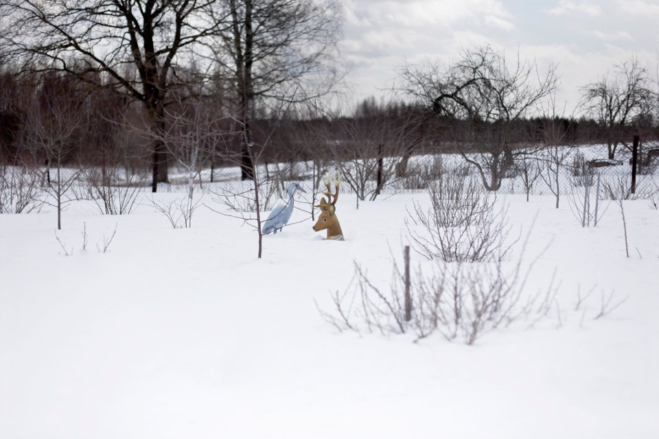 Svadba/ Bolest, Almin Kaplan | HYPOMNEMATA