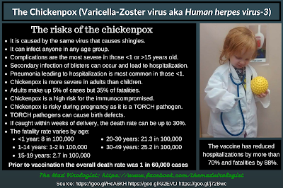 The Mad Virologist : How effective is the chickenpox vaccine? In a word ...