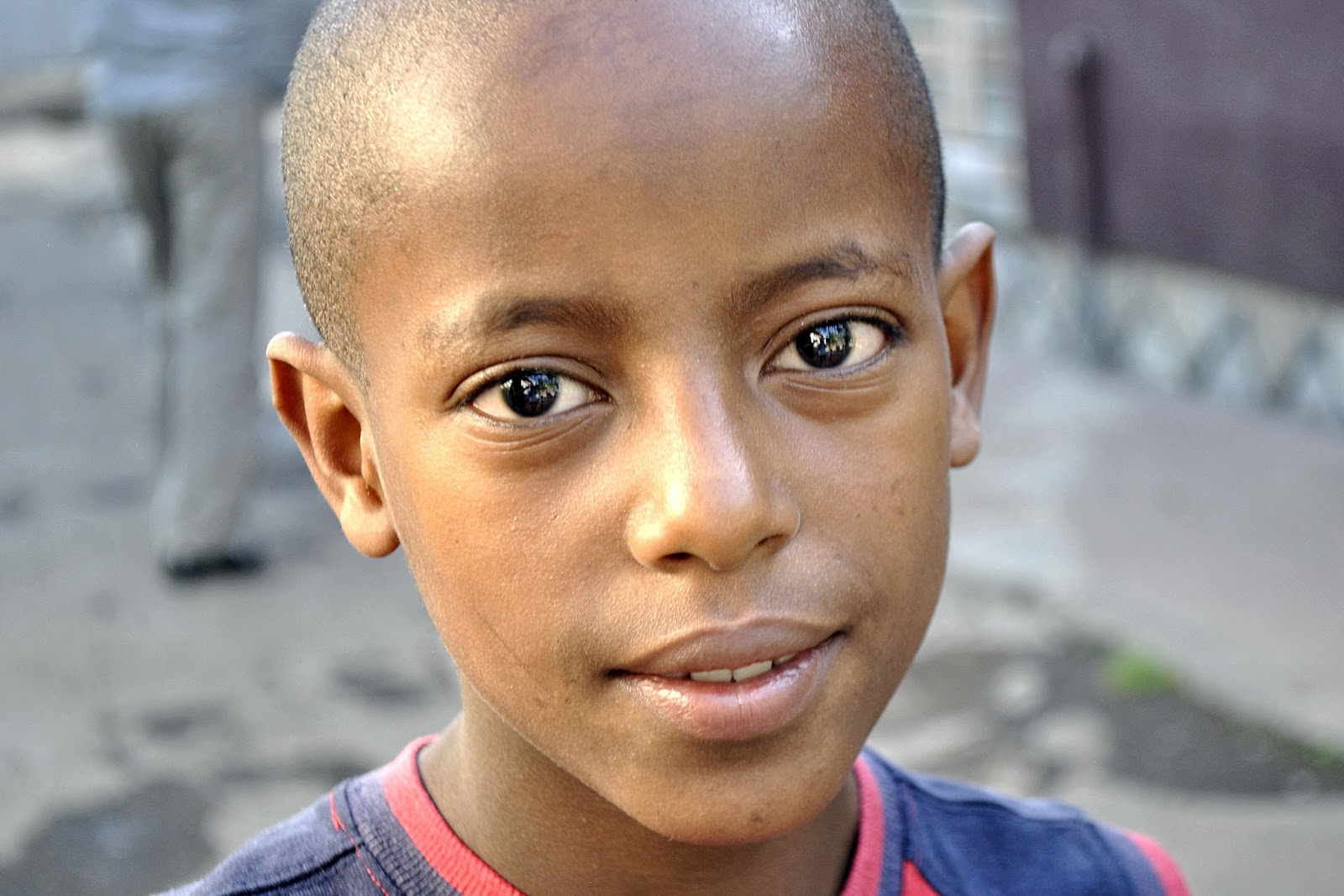 Olive Shoots & Muddy Boots: Oh Where, Oh Where is All Their Hair???