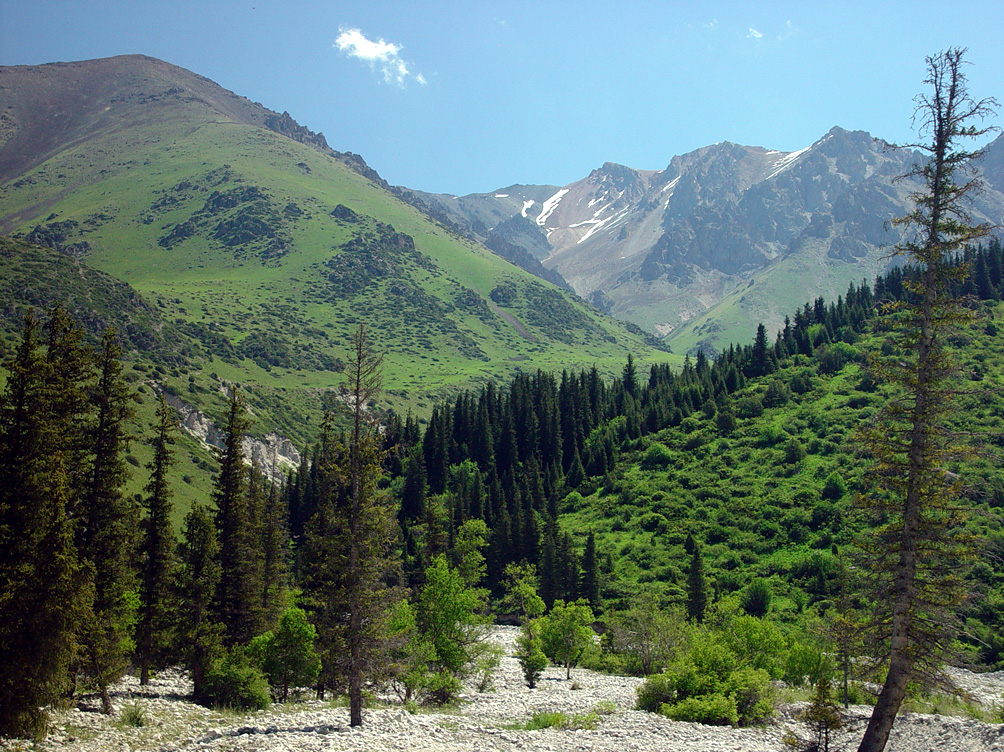 Funny Pictures Gallery: Images of natural scenes,natural scene images