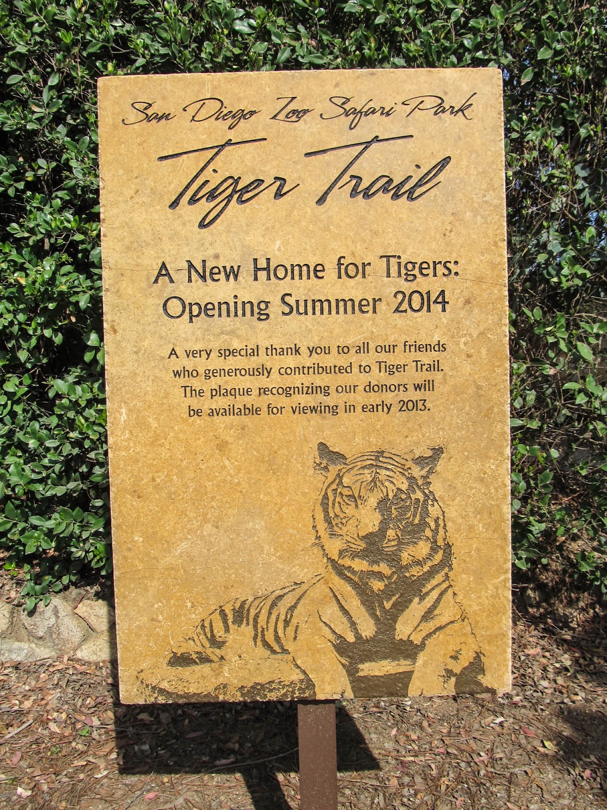 Life with Dylan: The journey to Tiger Trail continues