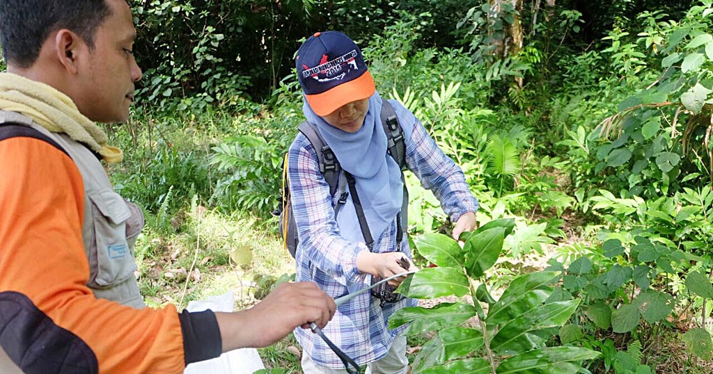 Apakah Pengertian Istilah Botani ? - Portal Edukasi