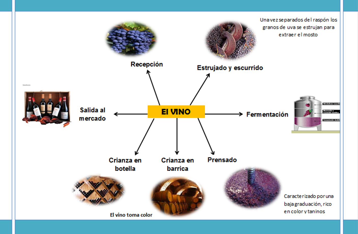 El vino: ELABORACIÓN DEL VINO
