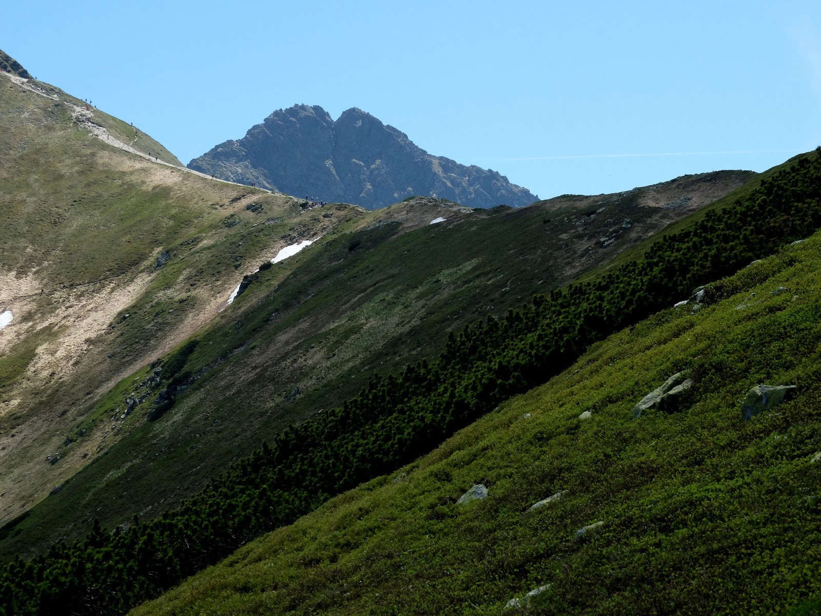 Ruda z wyboru: Klasyka gatunku: Grześ - Rakoń - Wołowiec