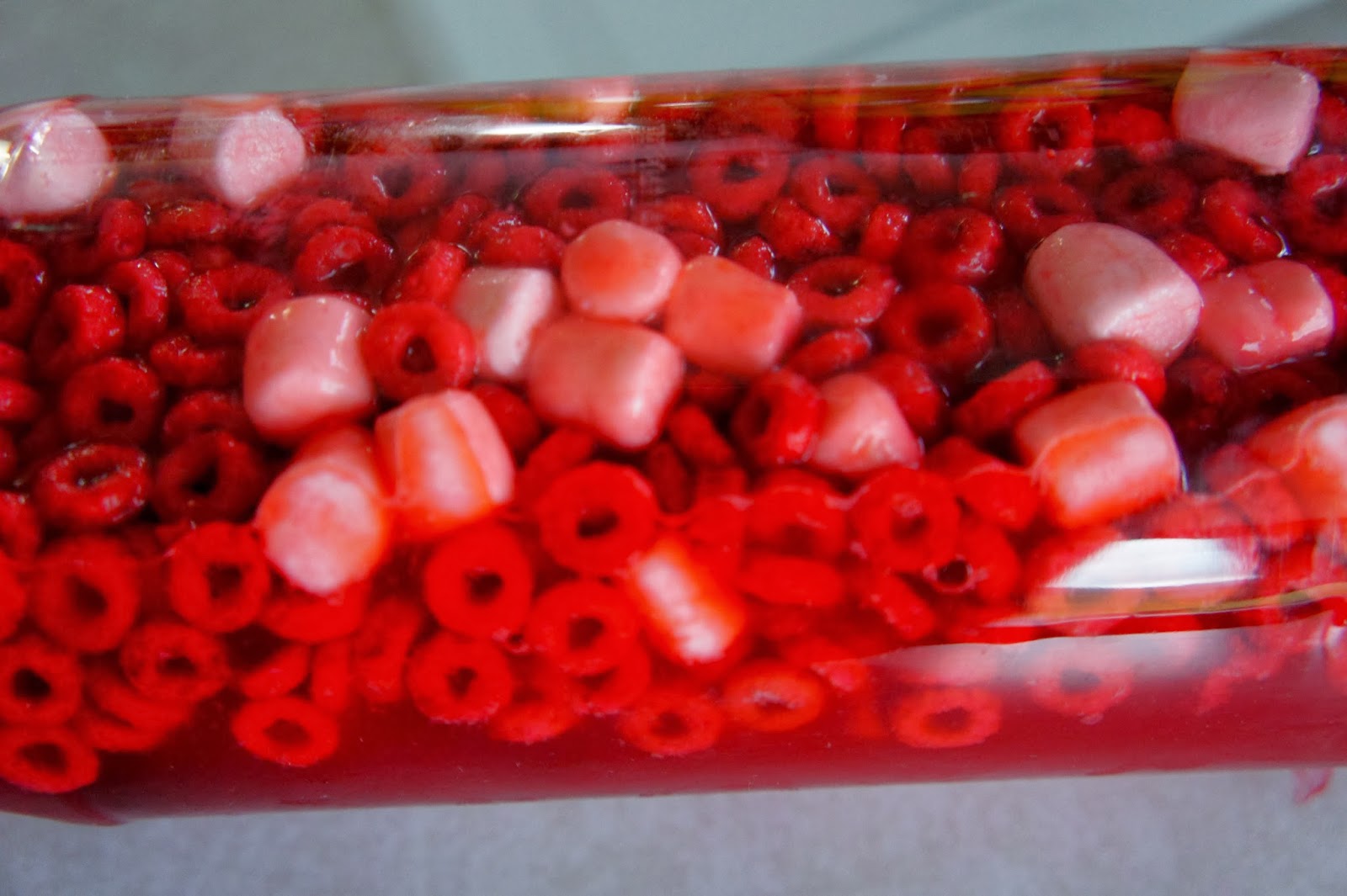 Relaxed homeschooling, lungs, and blood...What Fun!