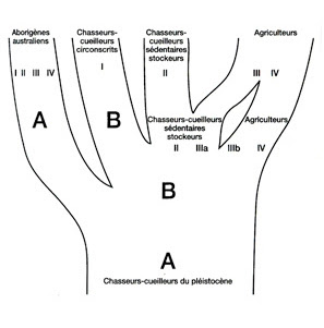 Alain Gallay, Alain Testart et l'évolution des sociétés - La Hutte des ...
