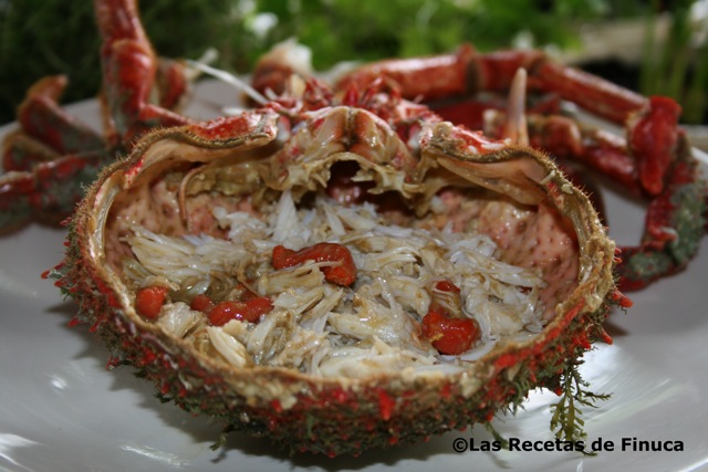 Las Recetas de Finuca: Centolla del Cantábrico