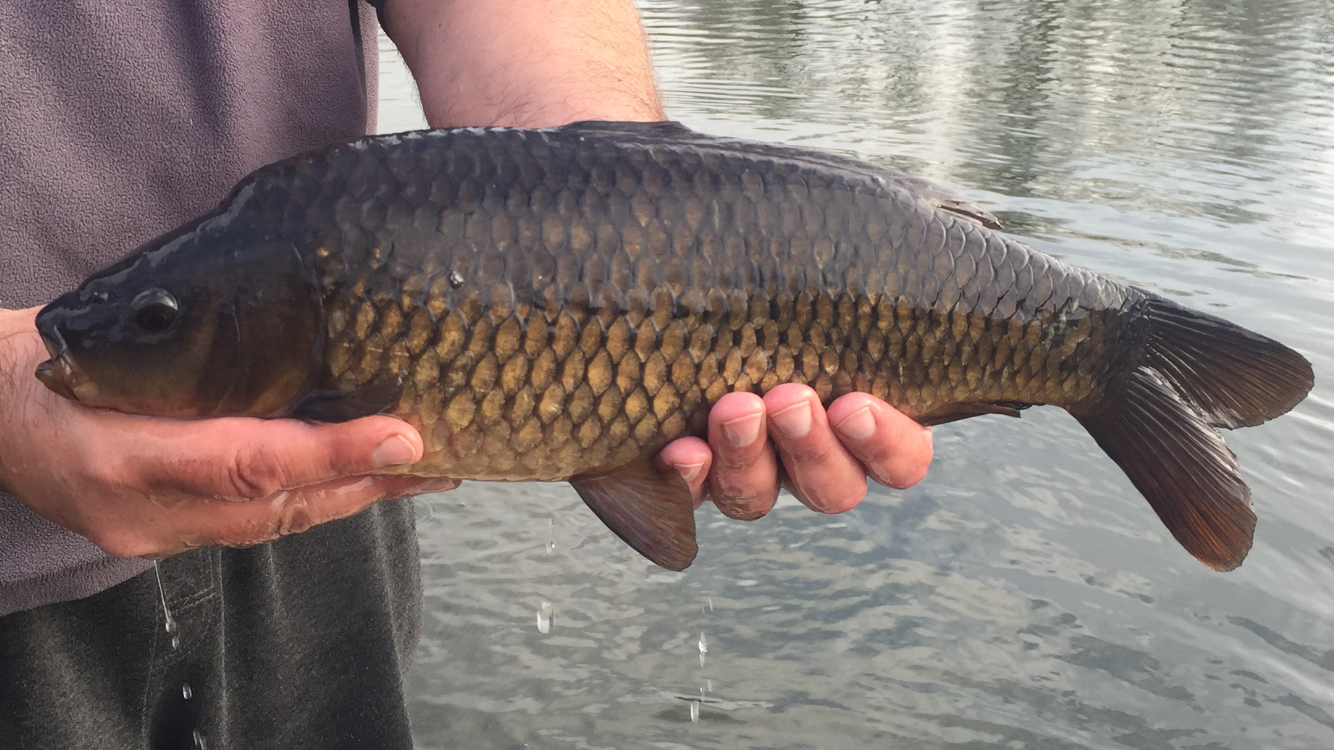 Jelson Private Angling Club Leicester