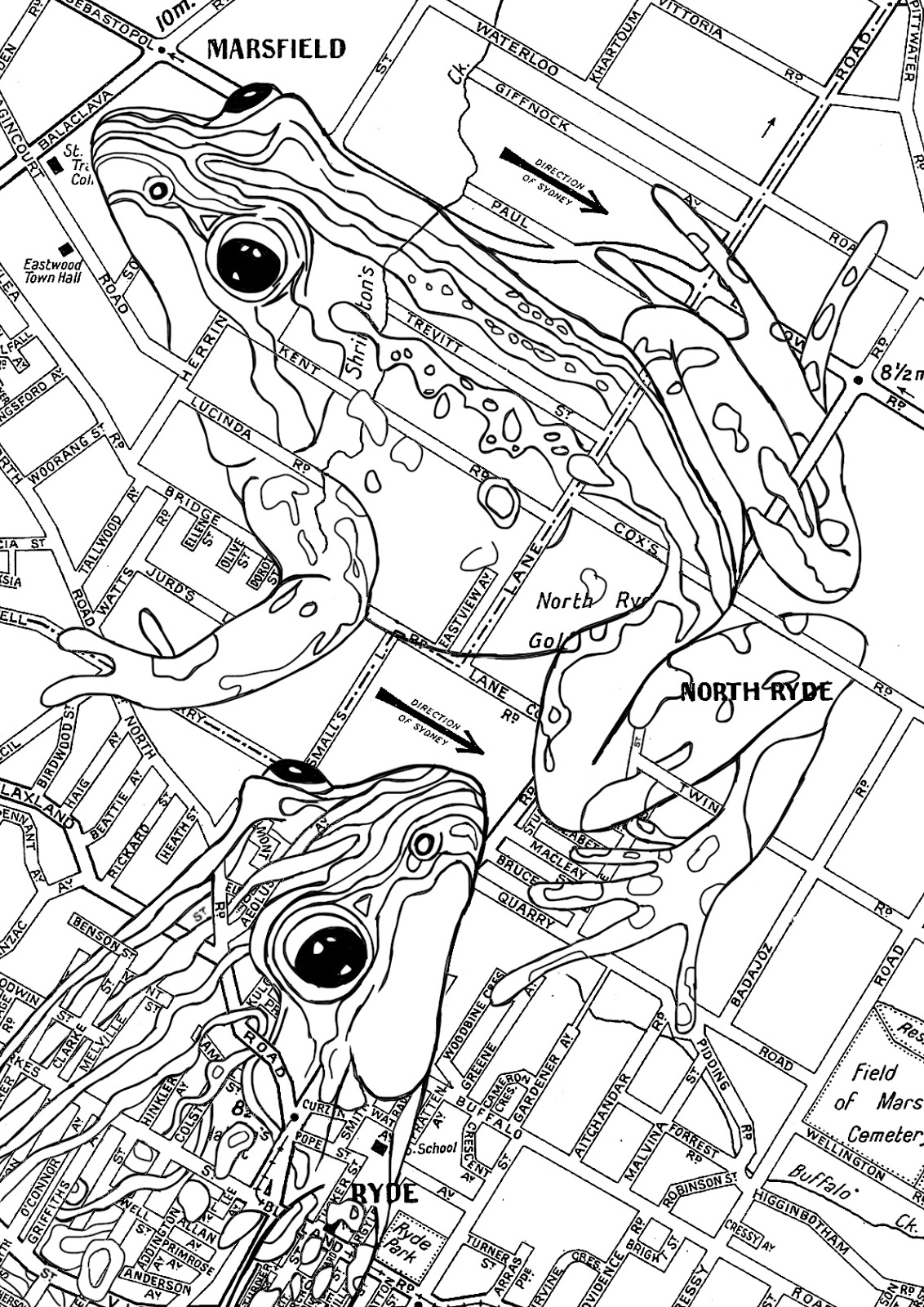 LIVING TOGETHER - Cartography Drawing for Primary and High School Students