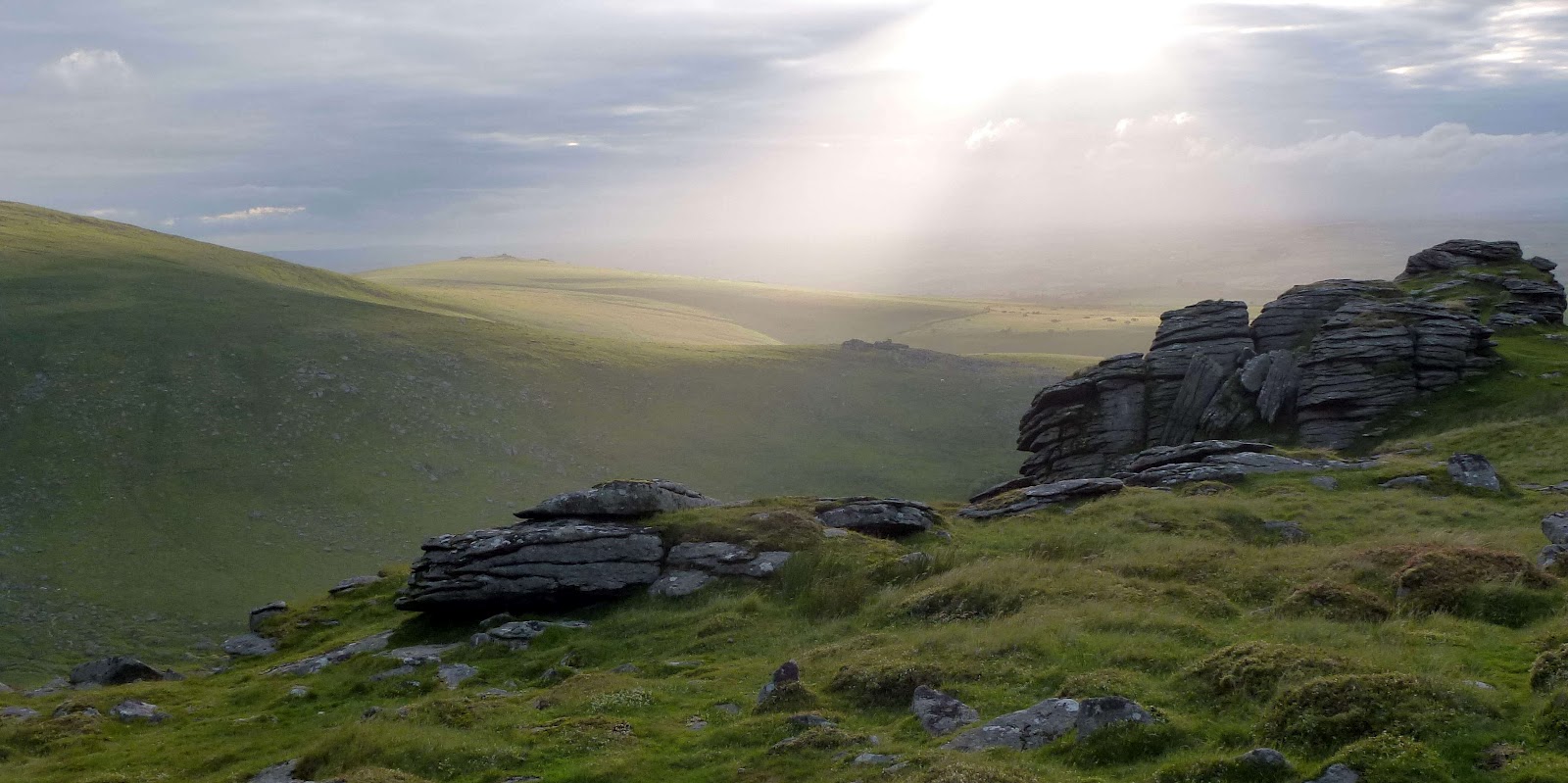 My Dartmoor Walks: Wednesday 4th July Yes Tor