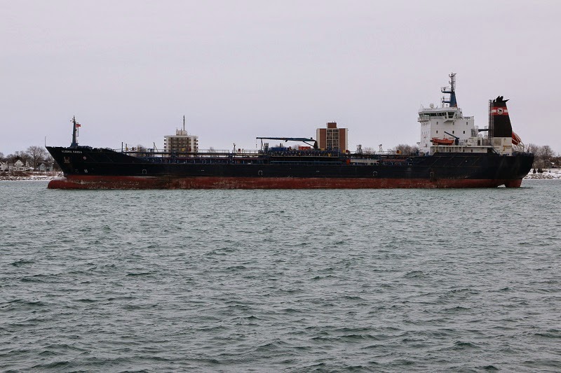 Michigan Exposures: A Pair of Ships