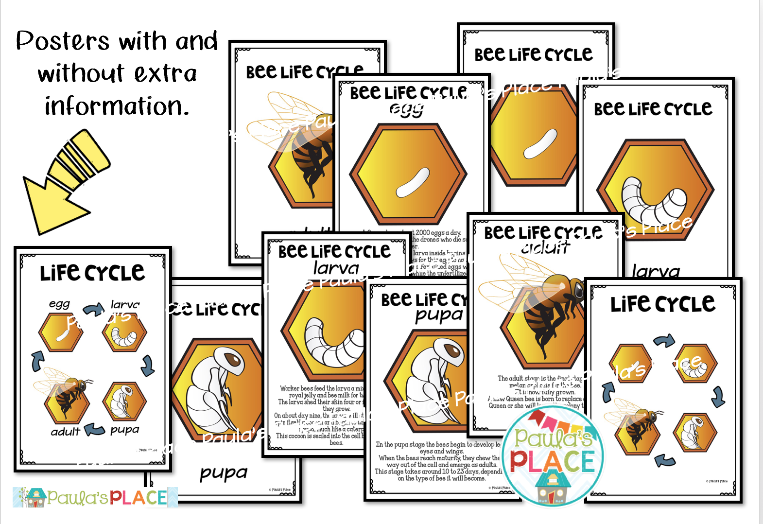 Paula's Place Teaching Resources: Life Cycles - Bees