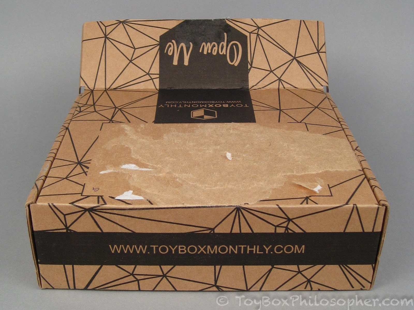Sunday Surprise: Toy Box Monthly Subscription! | The Toy Box Philosopher