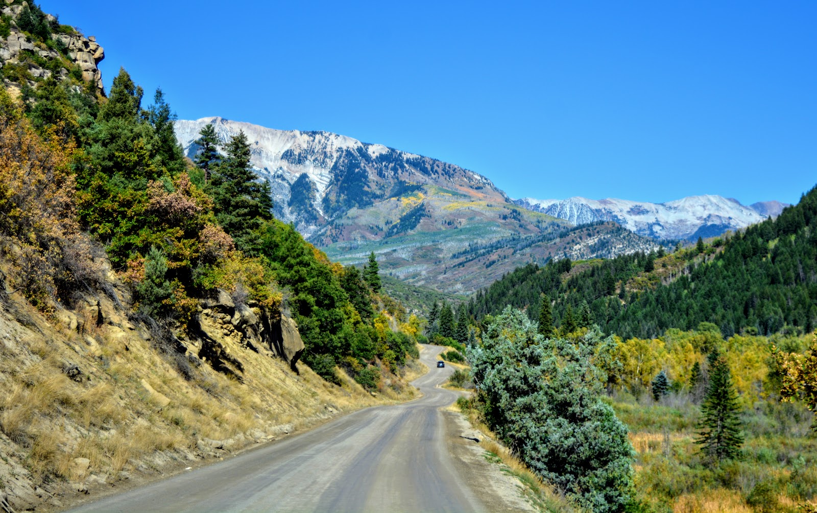 Mille Fiori Favoriti: West Elk Loop Scenic Byway and Kebler Pass