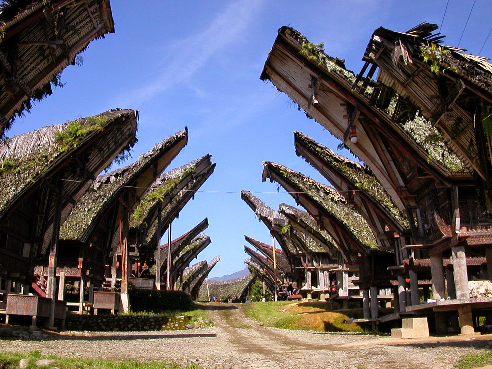 Travel and Leisure: Indonesia - A Fascinating Culture of Tana Toraja
