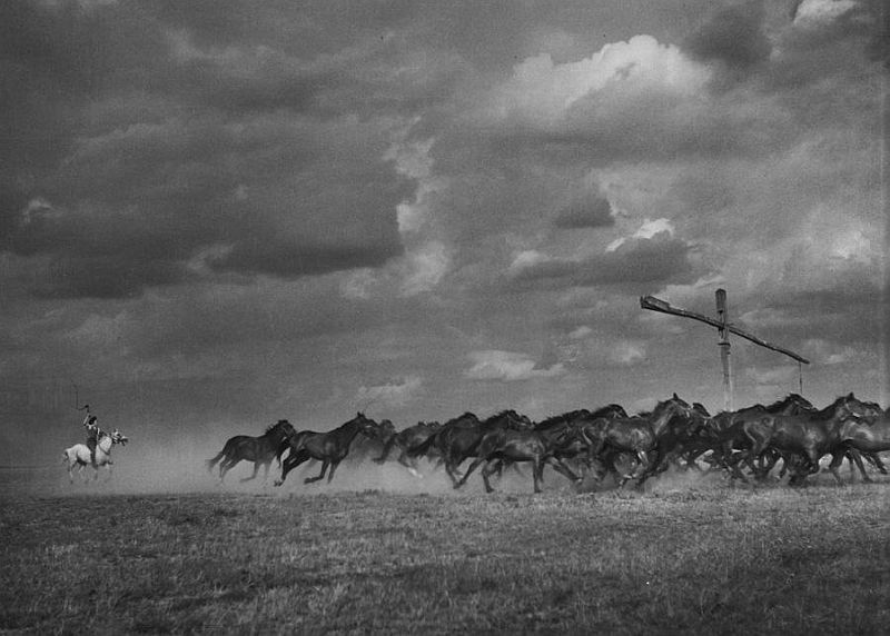 El Rincón de un Malagueño: ERNÖ VADAS 1899-1962, fotógrafo húngaro. Me ...