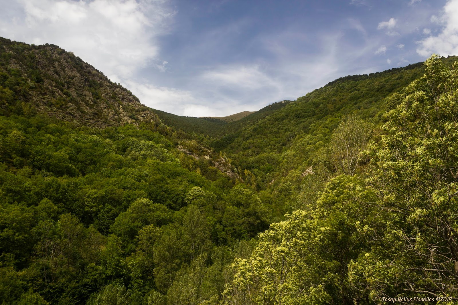 Racons de Catalunya: Salt del torrent de Pastuira (Setcases)