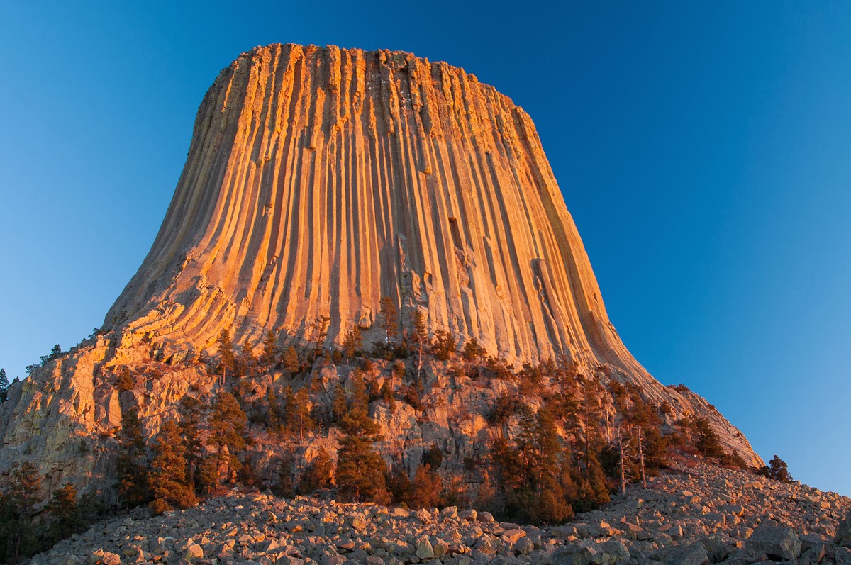 A Tree Falling: Devils Tower