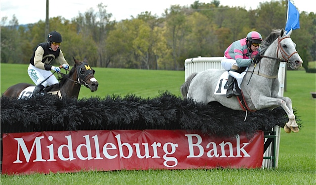 Virginia Blog Cup: Pictures of The Day