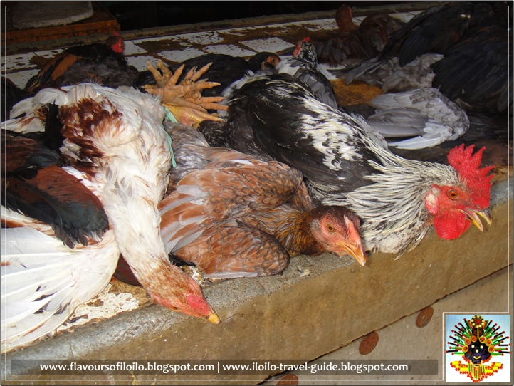 JR Rawit's native litsong manok at the Iloilo Central Market