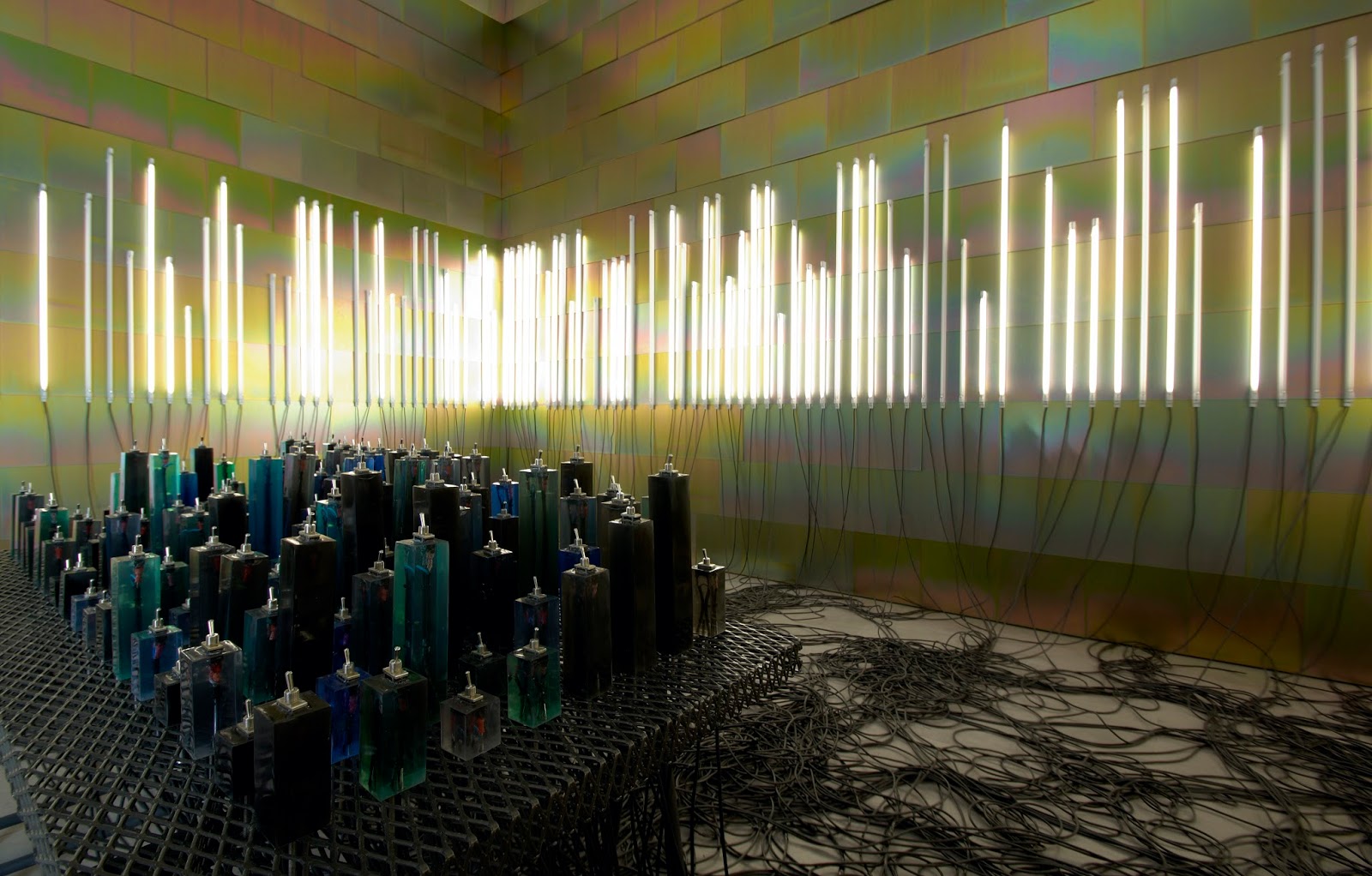 Colin Streater Photography