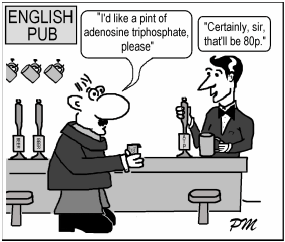 ATP gamyba ~ Mikrobiologija - kas tai?