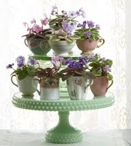 Sherri's Jubilee: African Violet Stand Idea!!